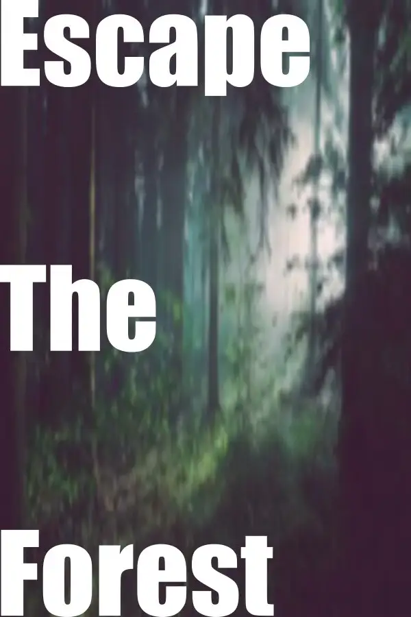 Buy Escape The Forest (Global) (PC) - Steam - Digital Key